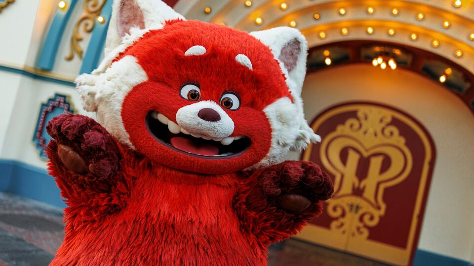 Red Panda Mei Meets With Guests for the First Time at Disneyland Resort ...