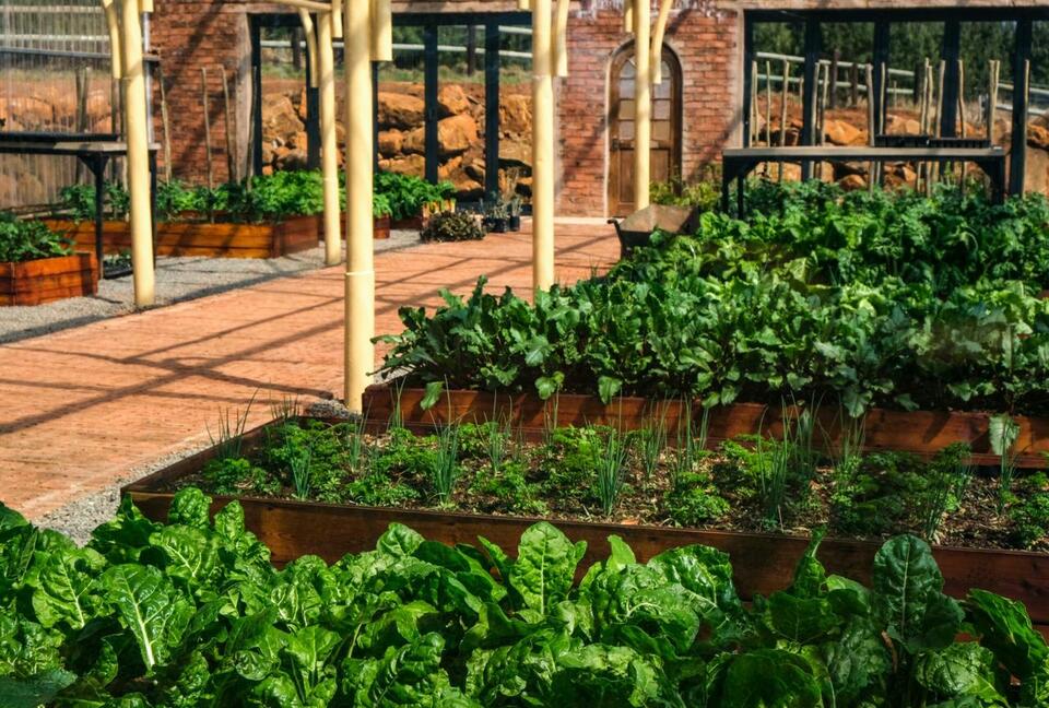 The Hort Report: Garden planning for the 2026 season - NewsBreak