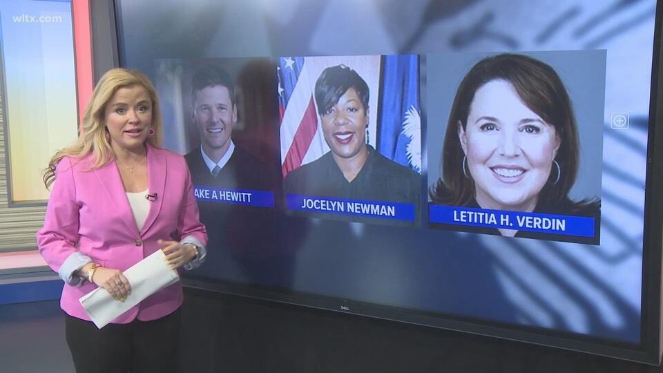Jocelyn Newman withdraws from race to be next SC Supreme Court Justice ... Jocelyn Newman withdraws from race to be next SC Supreme Court Justice ...