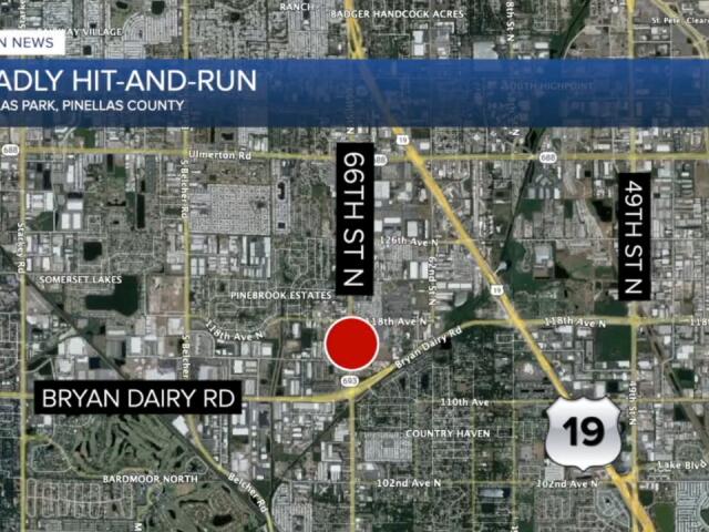 Pinellas Park police arrest woman for fatal hit-and-run crash - NewsBreak