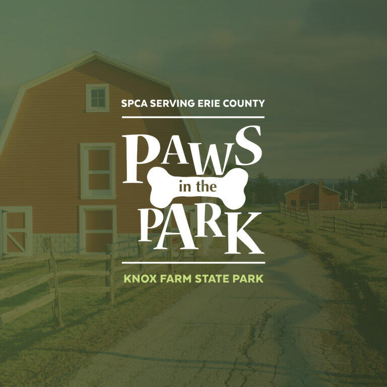 2025- Paws in the Park Knox Farm State Park- September 27, 2025- East ...