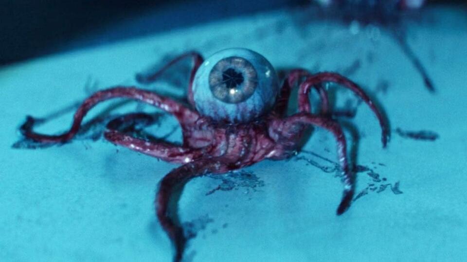 Alien: Earth Creator Explains Eyeball Creature’s Species & Name - NewsBreak