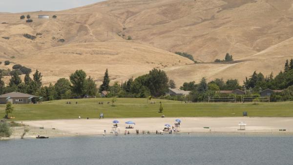 2026 swim season updates for East Bay parks - NewsBreak