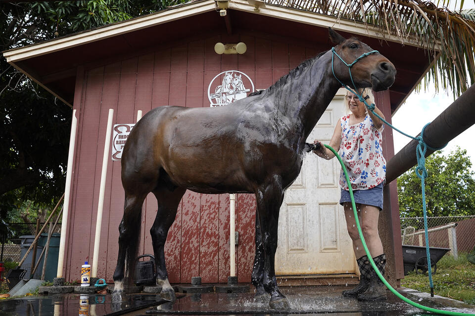 Honolulu Bill To Rein In Fake Farms Threatens Real Ag Enterprises ...