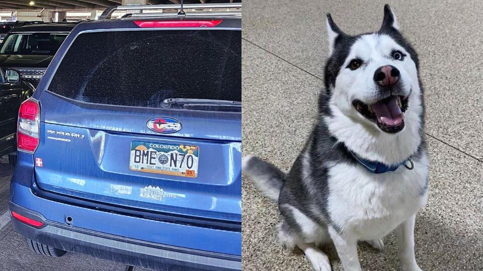 Deployed Airman’s Missing Dog Case Takes Tragic Turn After Police ...