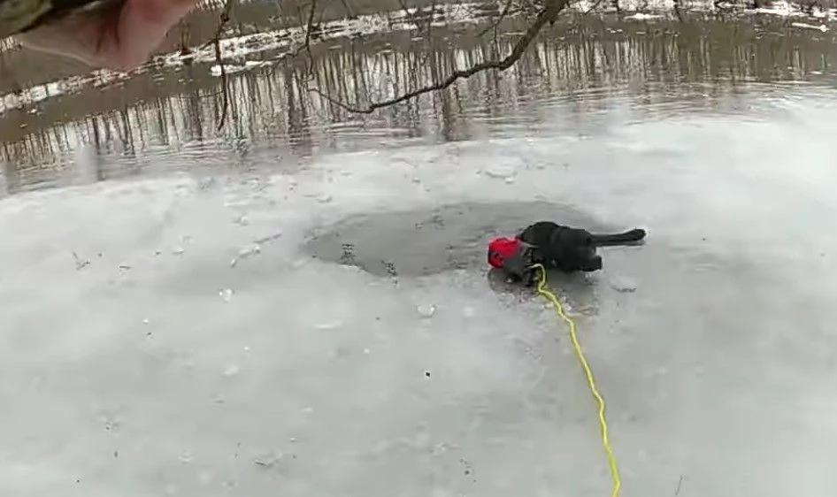New York Troopers Save Dog from Icy Little Falls Canal - NewsBreak