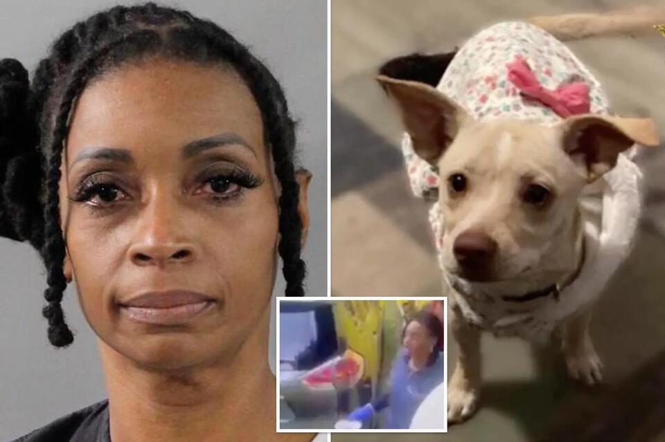 ‘Cold-hearted’ nurse accused of killing neighbor’s cats, pregnant dog ...