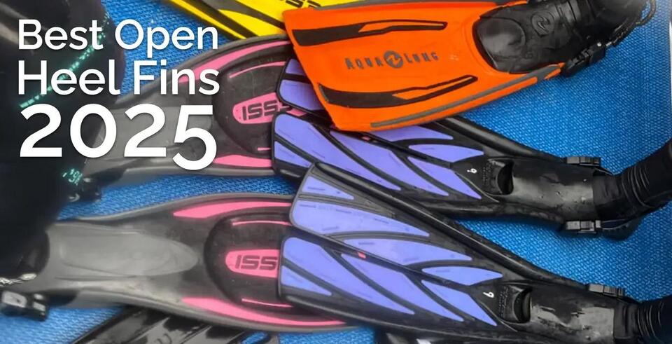 The Best Open Heel Scuba Fins 2025 - NewsBreak