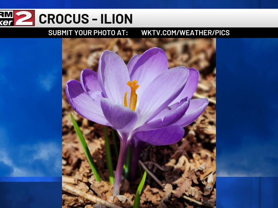 WKTV Weather Photo of the Day: April 16
