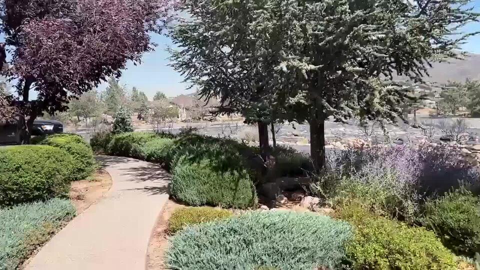 US: Davis Fire Burns South Of Reno Triggering Widespread Evacuations 9 ...