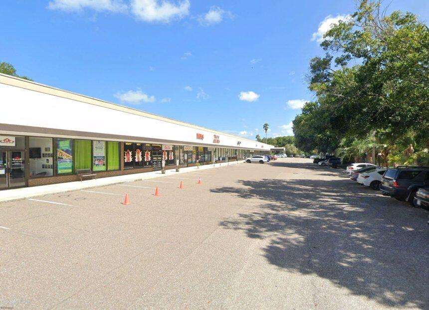New Cat Cafe Proposed for Clearwater - NewsBreak