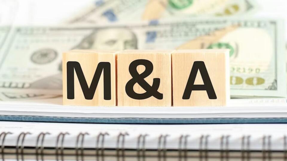 Agrolimen acquires fresh dog food brand Ollie - NewsBreak