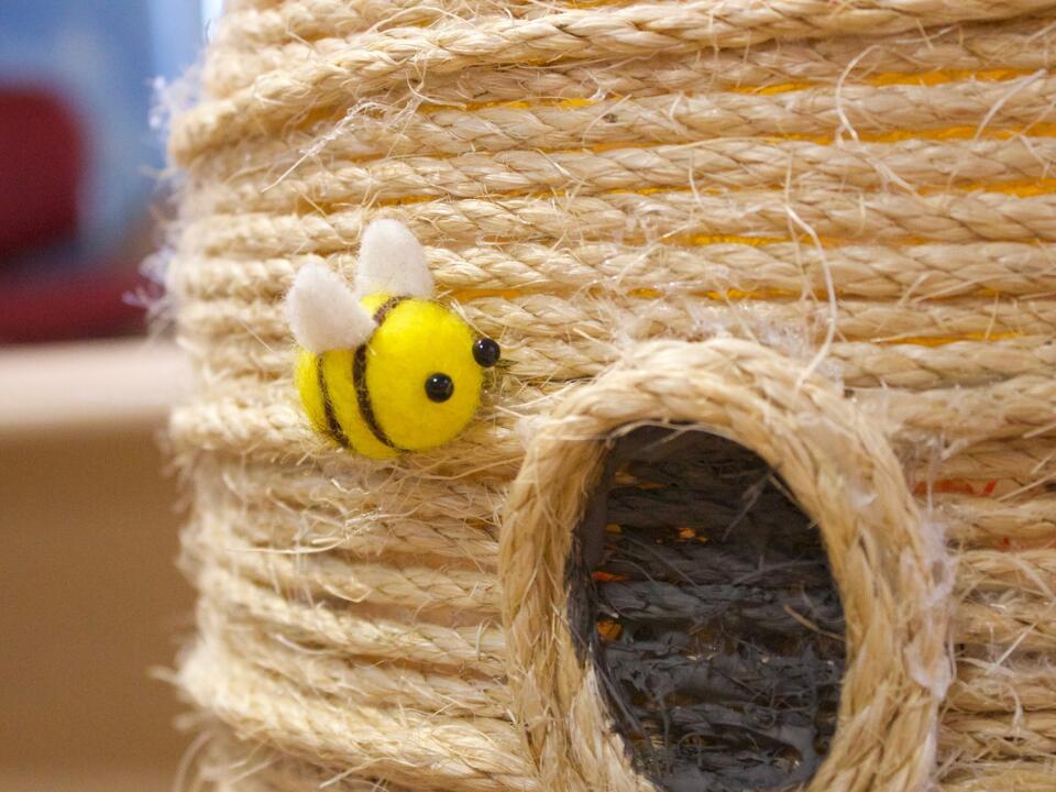 Pueblo’s Buell Children’s Museum unveils new interactive exhibit ‘What ...