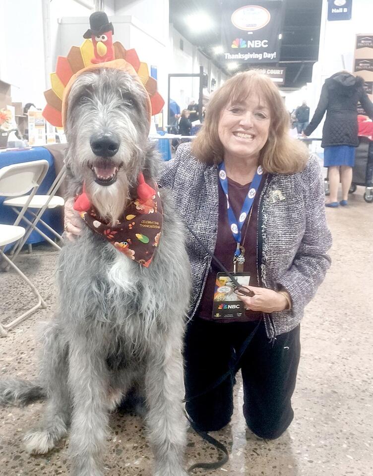 Heroes, hounds and humor; meet the dogs of the 2025 National Dog Show - NewsBreak