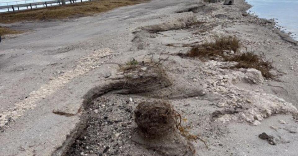 Dunedin gets update on causeway project - NewsBreak