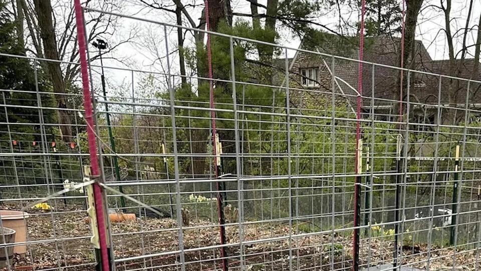 Gardener met with warnings after sharing photo of concerning ...