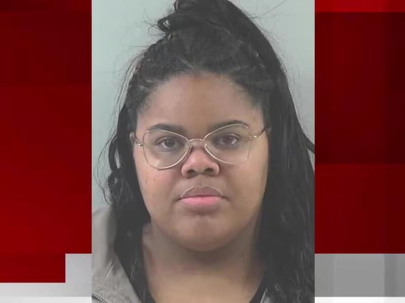 Fort Wayne woman pleads guilty to one of 18 federal fraud charges in ...