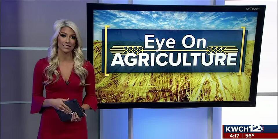 12 News anchor Brityne Rucker awarded for Eye on Agriculture - NewsBreak