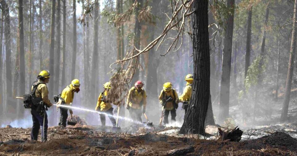 Coyote Fire in El Dorado County now 58% contained at 624-acres - NewsBreak