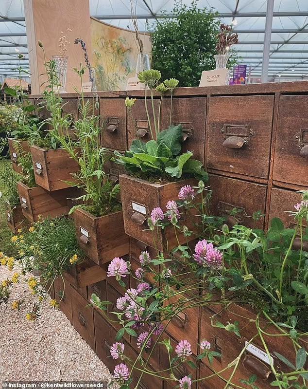 Lady Amelia Windsor visits Chelsea Flower Show to unveil her first ever ...