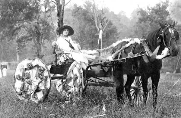 From Festival Days to Family Farms: The Story of Satsumas in Jackson ...