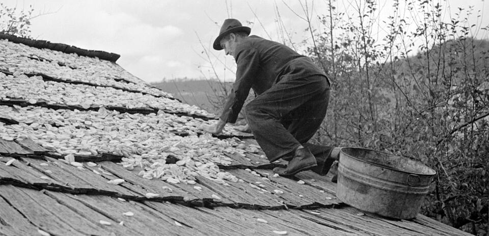 History Feature: Mountains of Misconceptions ~ The Truth About ...