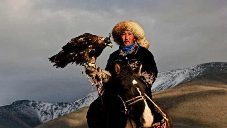 How Falconry Has Shaped the Bond Between Humans and Birds of Prey that ...