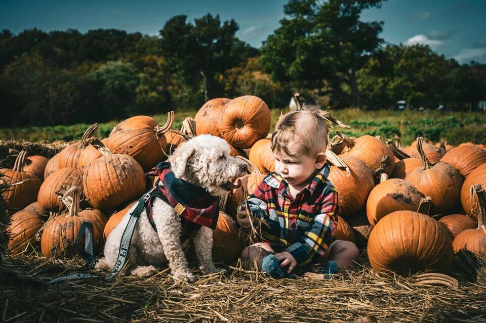The Most Popular Fall-Themed Baby Names Revealed - NewsBreak