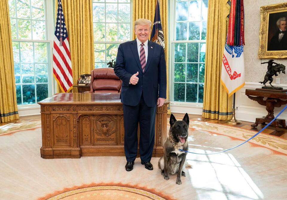 Bomb sniffing K-9s become latest DOGE victims – hours after Trump ...