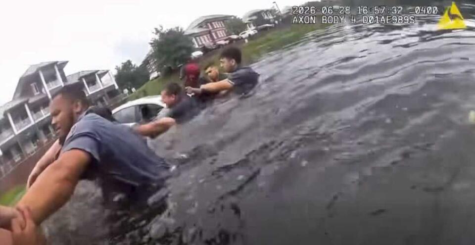 WATCH: Human Chain Saves Driver From Sinking Car In Fairfax County Pond ...