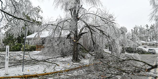 Thousands wake up without power as Winter Storm Fern makes way across ...