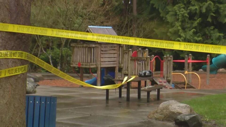 15-year-old Meadowdale High student arrested in park shooting - NewsBreak