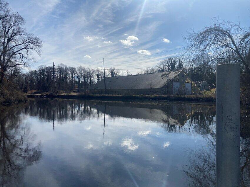 Strollin' on the St. Jones river - NewsBreak