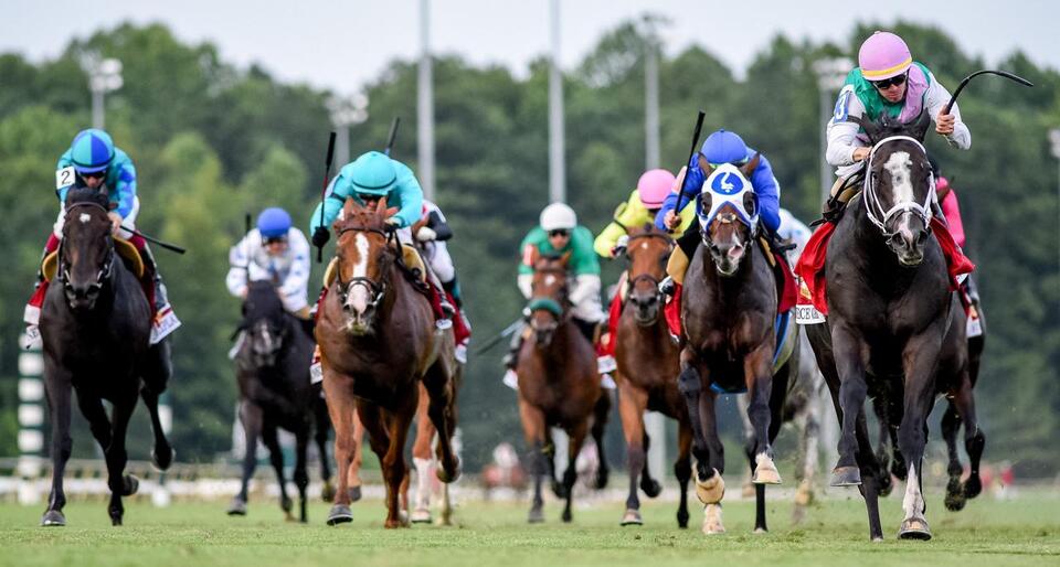 Races Canceled After Jockey Unseated From Horse At Colonial Downs ...