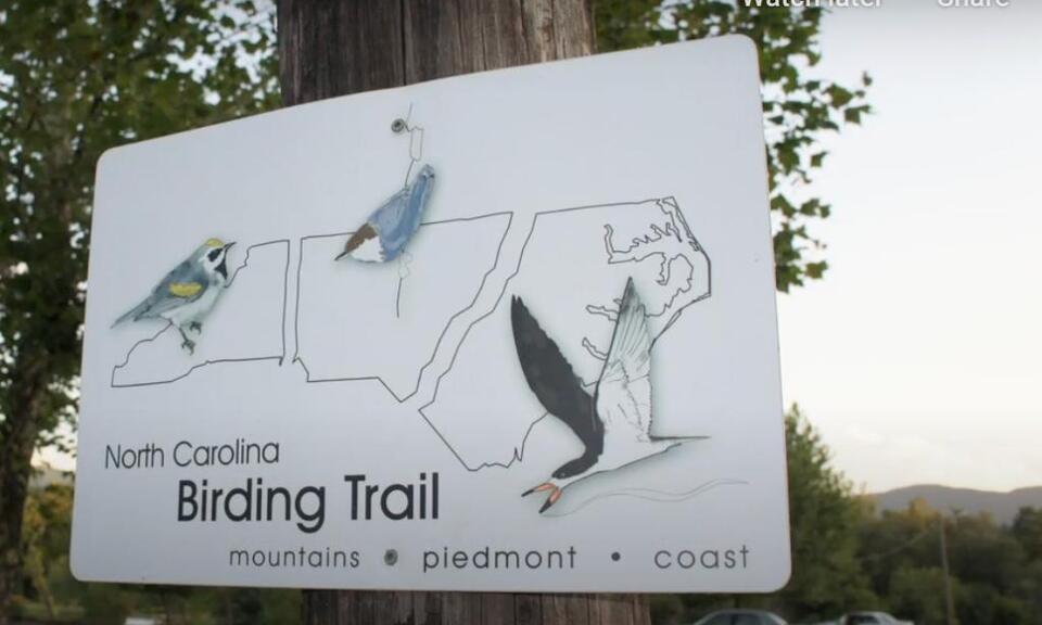 Mark Robinson ‘will not run’ for Senate in 2026, as he drops defamation ...