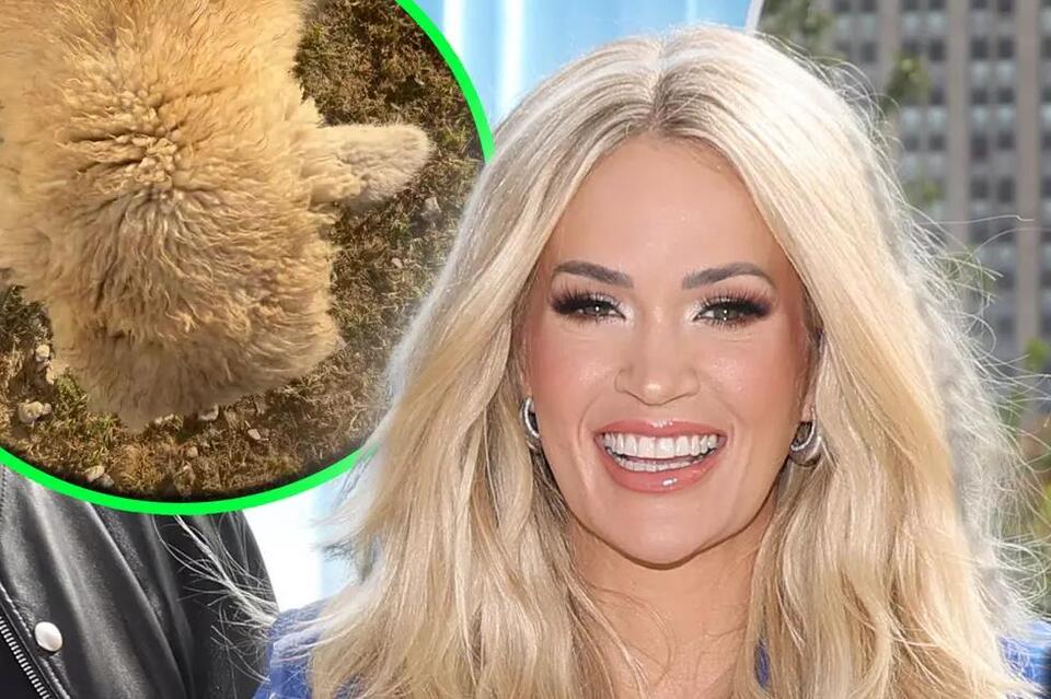 Carrie Underwood’s Bully Has Really Gone Too Far This Time! - NewsBreak