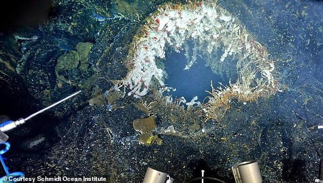 Major earthquake rattles underwater volcano off West Coast as experts ...