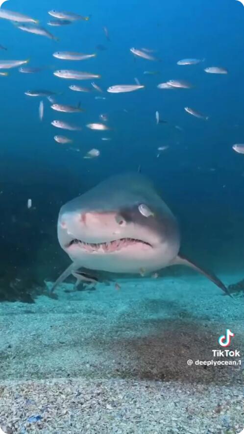 Scary Unusual Moments at the North Sea caught on camera 🤨🧐🤔 - NewsBreak