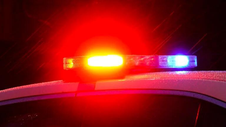 3-year-old dies after being struck by vehicle on Cape Cod - NewsBreak