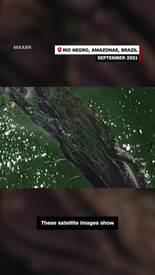 Satellite images show parts of the Amazon drying up as Brazil ...