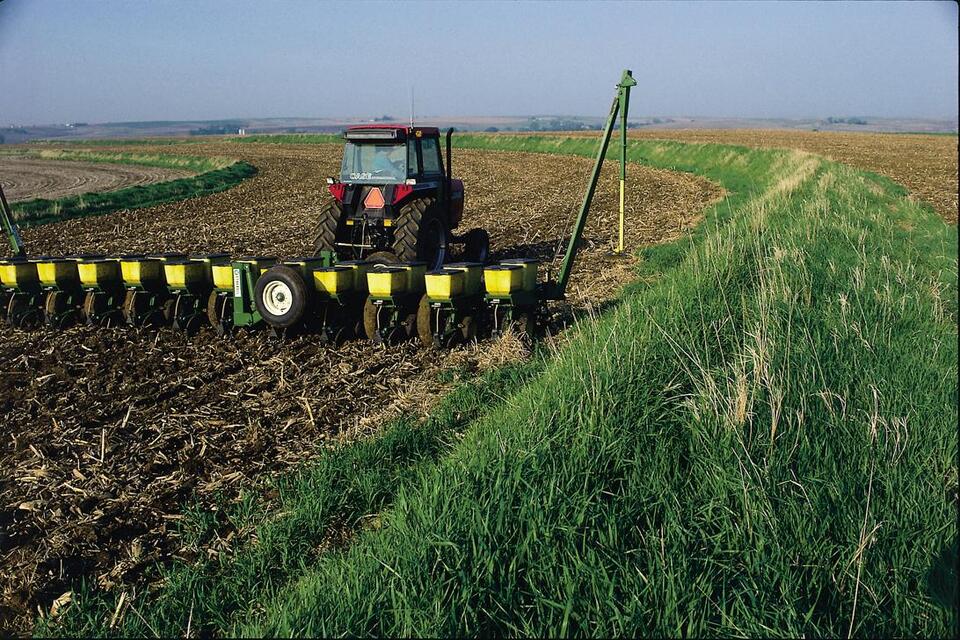 5 States Where Gene Editing Tech Is Already in Use on Farms - NewsBreak