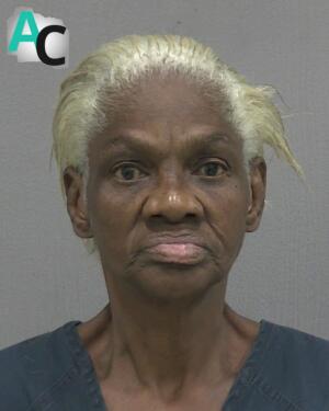 Gainesville woman arrested for knocking her 86-year-old mother to the floor and preventing ...