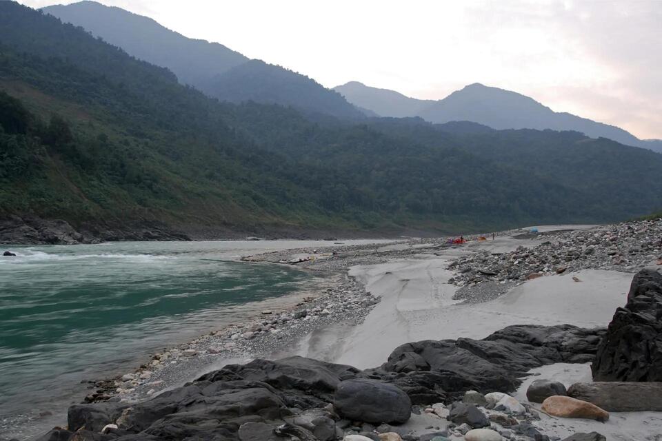 Scientists stunned after elusive creature resurfaces more than a ...