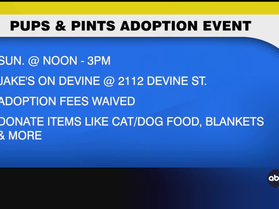 Columbia Animal Services to hold Pups & Pints events