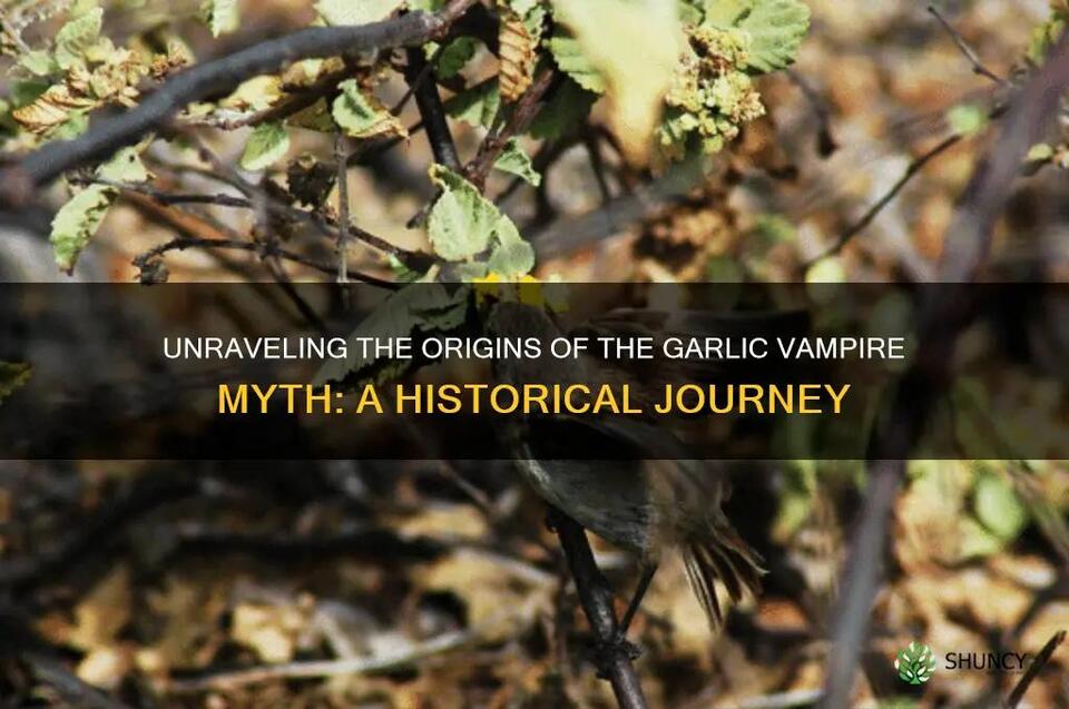 Unraveling The Origins Of The Garlic Vampire Myth: A Historical Journey ...