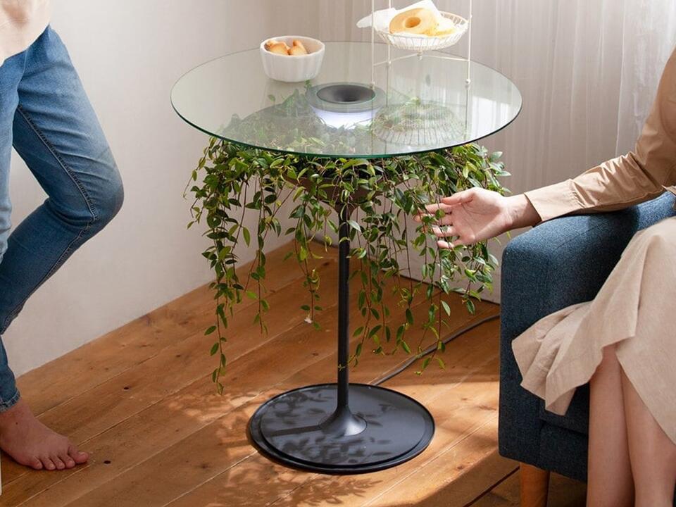Top 5 Biophilic Product Designs To Adapt Functional Greenery for ...