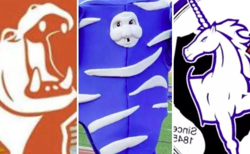 The Ten Most Unique High School Mascots Found in Texas - NewsBreak
