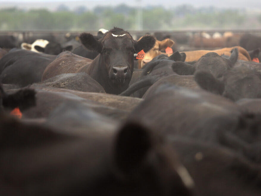 USDA rubber-stamped Tyson’s ‘climate friendly’ beef, but no one has ...