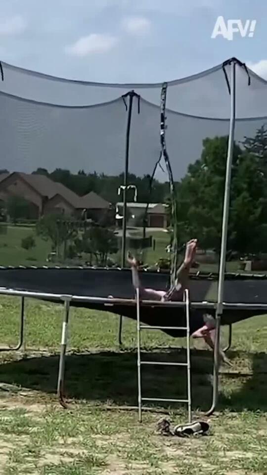 What do trampolines diving boards and paddle boards have in common They ...