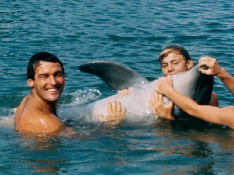 They Call Him ‘Flipper,’ and These 7 Facts About the Hit 1964 Show Will Flip You Out